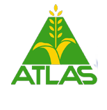 ATLAS FERTILIZER CORPORATION - Atlas Fertilizer